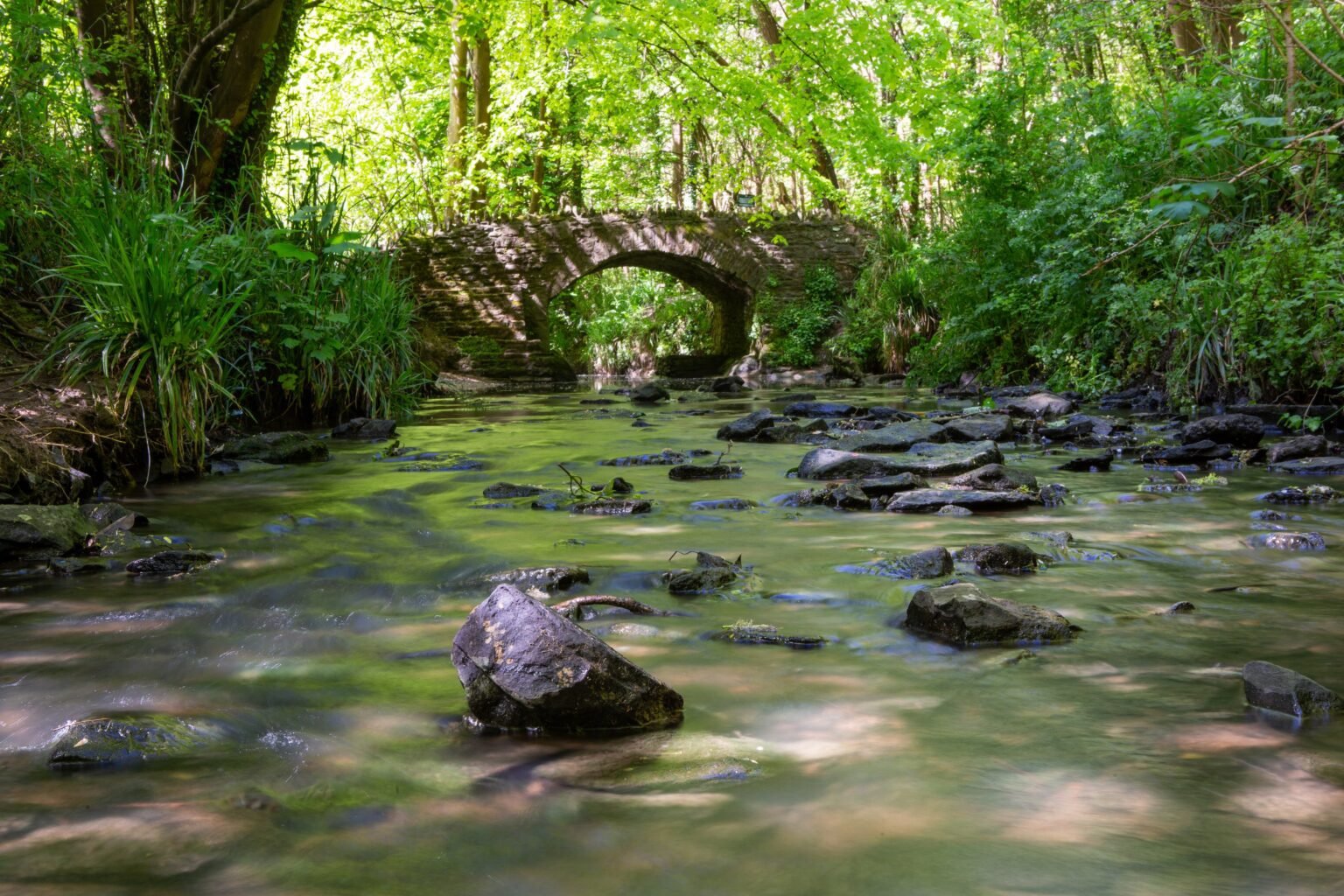 Welcome to Brislington Brook